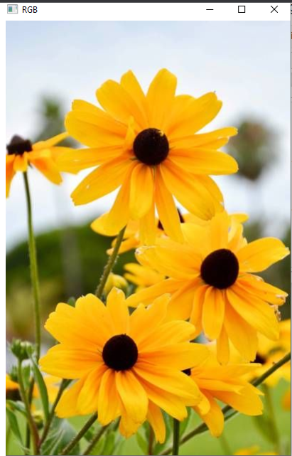 GitHub - Prajnashree00/image-processing