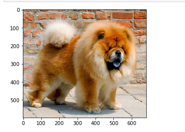 GitHub - Prajnashree00/image-processing