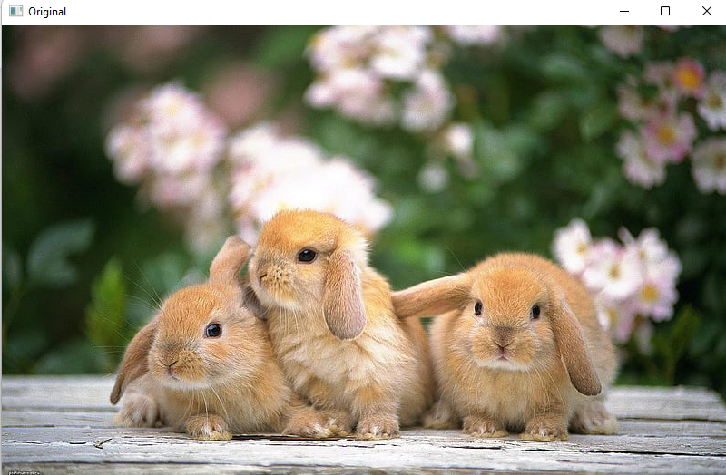 GitHub - Prajnashree00/image-processing