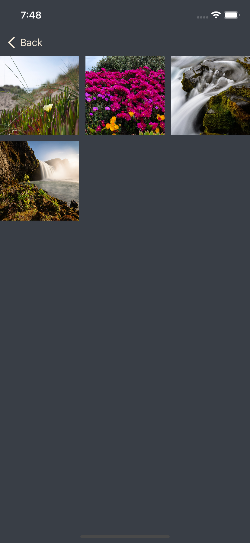 GitHub - atrapashka/Photo-Library