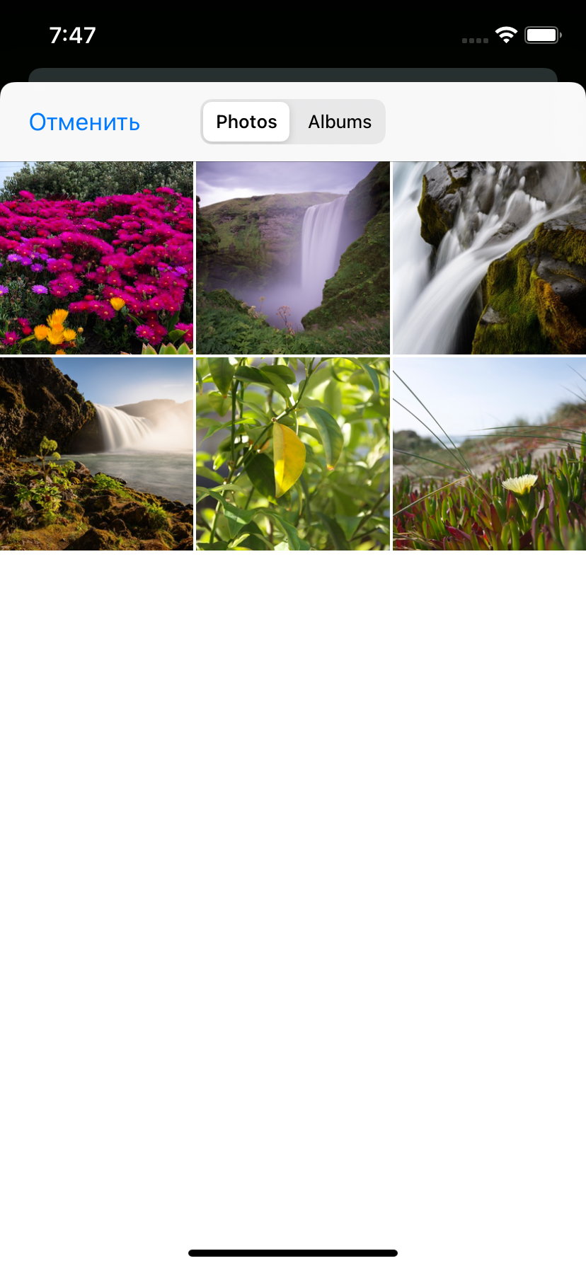 GitHub - atrapashka/Photo-Library