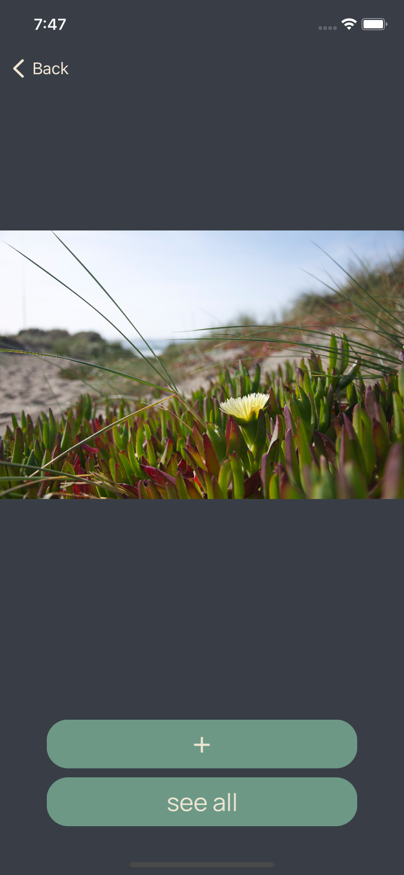 GitHub - atrapashka/Photo-Library