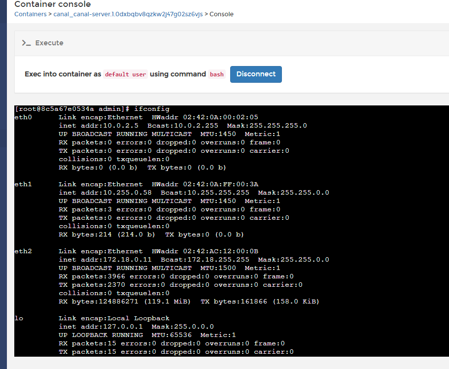 [v1.1.3]canal在Docker的swarm下集群服务端注册IP不正确 · Issue #2293 · alibaba/canal · GitHub