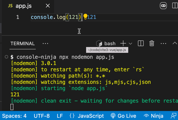 [Bug]: console-ninja nodemon command · Issue #173 · wallabyjs/console-ninja · GitHub