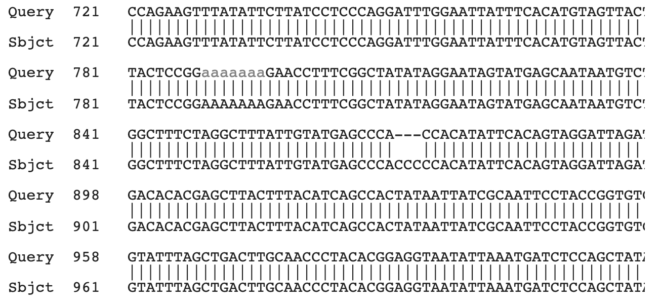 sp22-hood/README.md at main · bmb0082/sp22-hood · GitHub