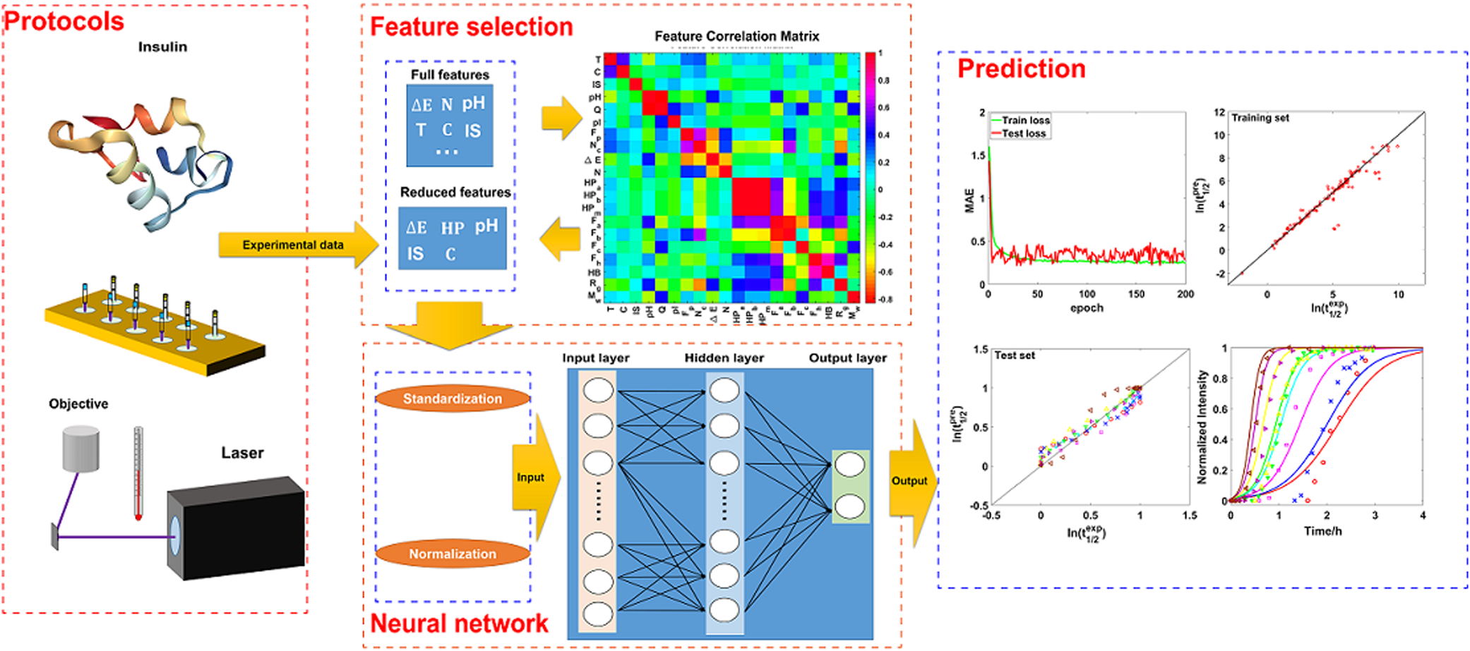 GitHub - redrodeo03/Amyloid-Prediction-FRL