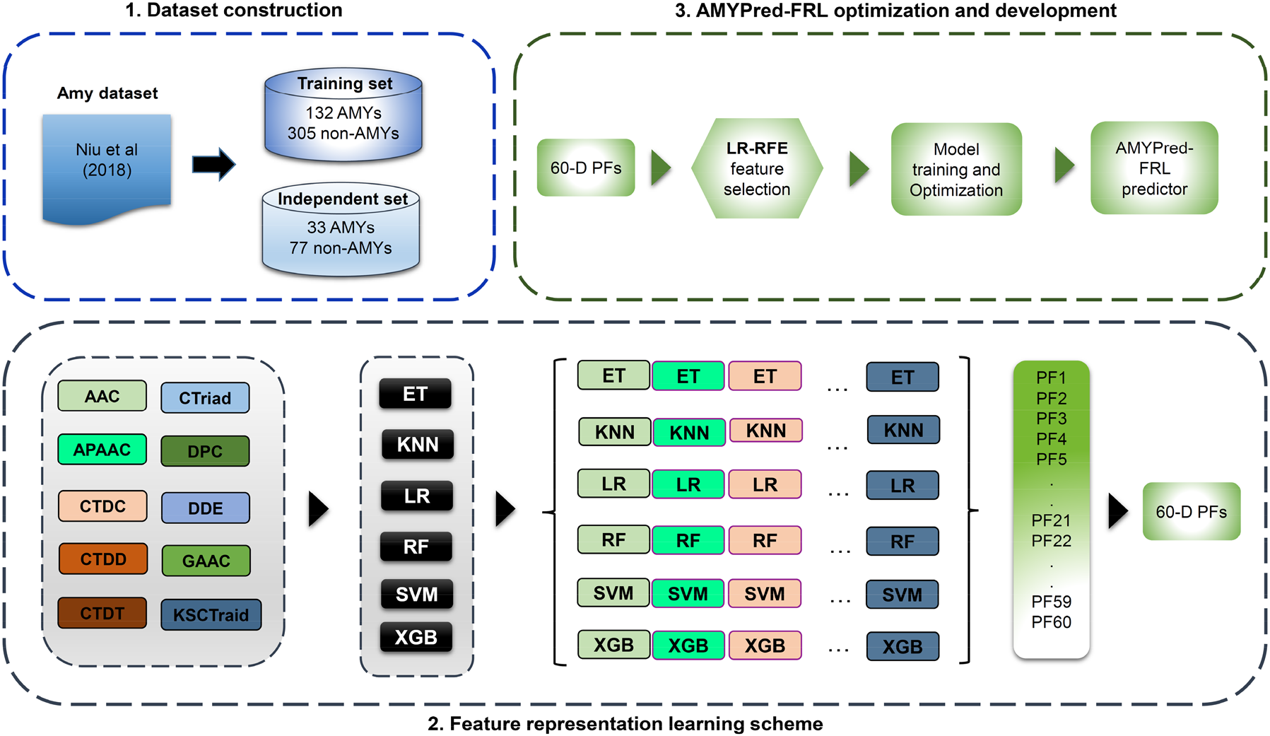 GitHub - redrodeo03/Amyloid-Prediction-FRL