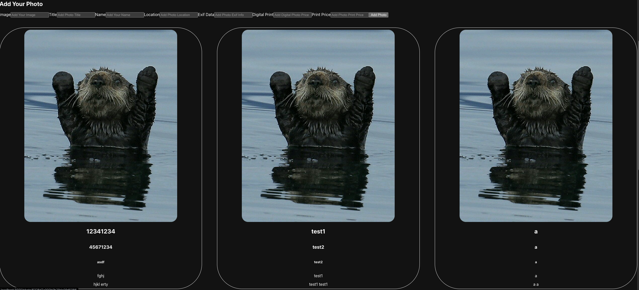 GitHub - rpeterson87/photography-gallery-frontend
