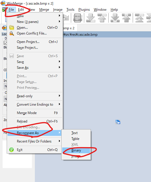 Binary Files reported as different, when identical · Issue #635 ...