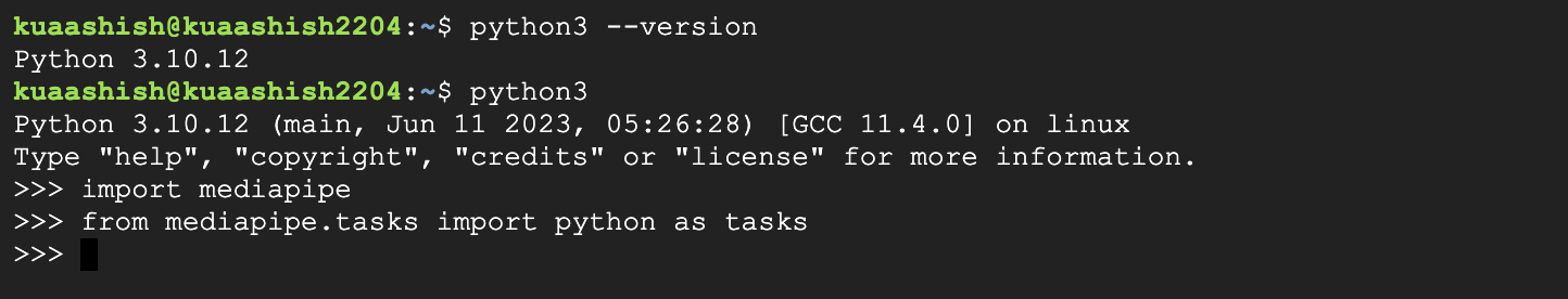 ImportError: cannot import name 'python' from 'mediapipe.tasks.python ...