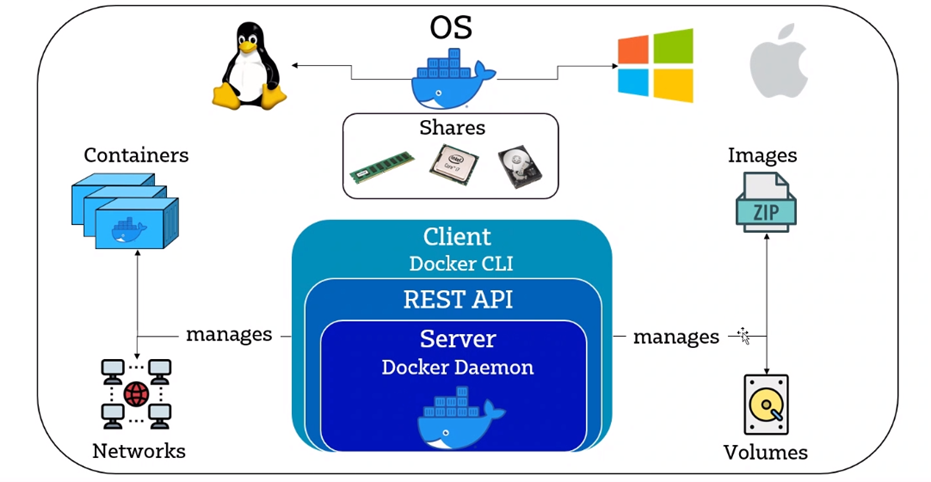 GitHub - yfp-c/eng103a_docker