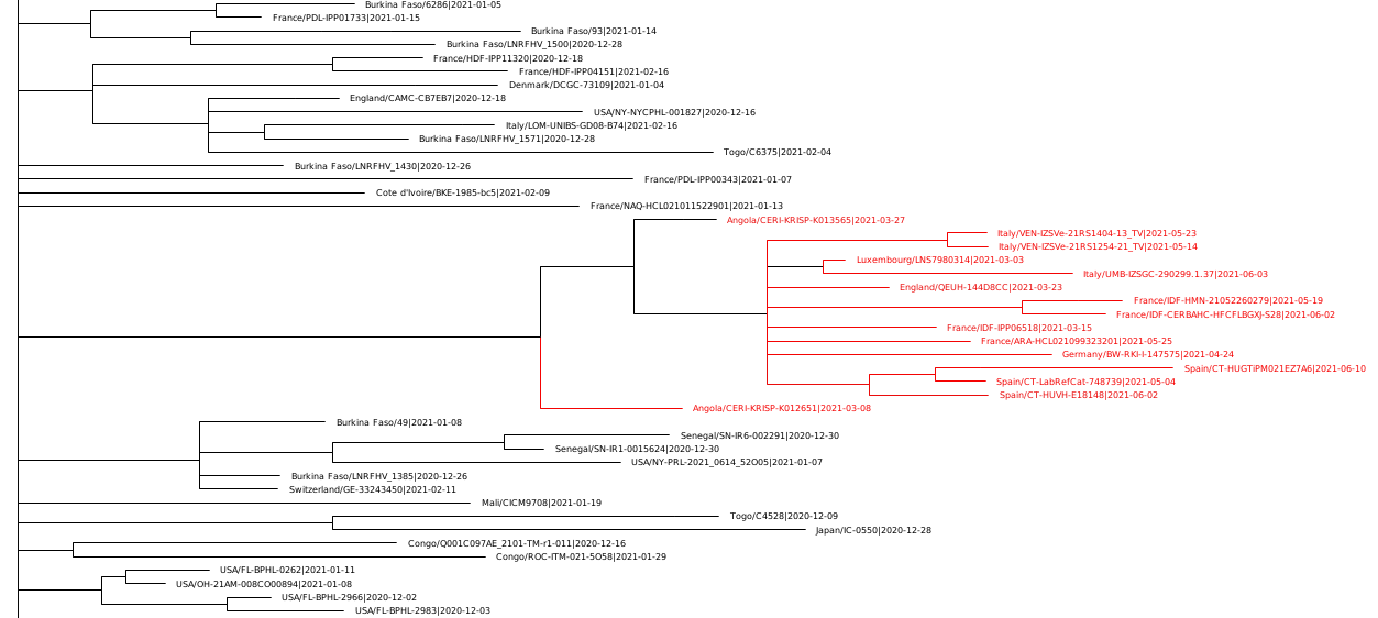 Proposed New Lineage: B.1 Angola/Guinea Associated · Issue #132 · cov ...