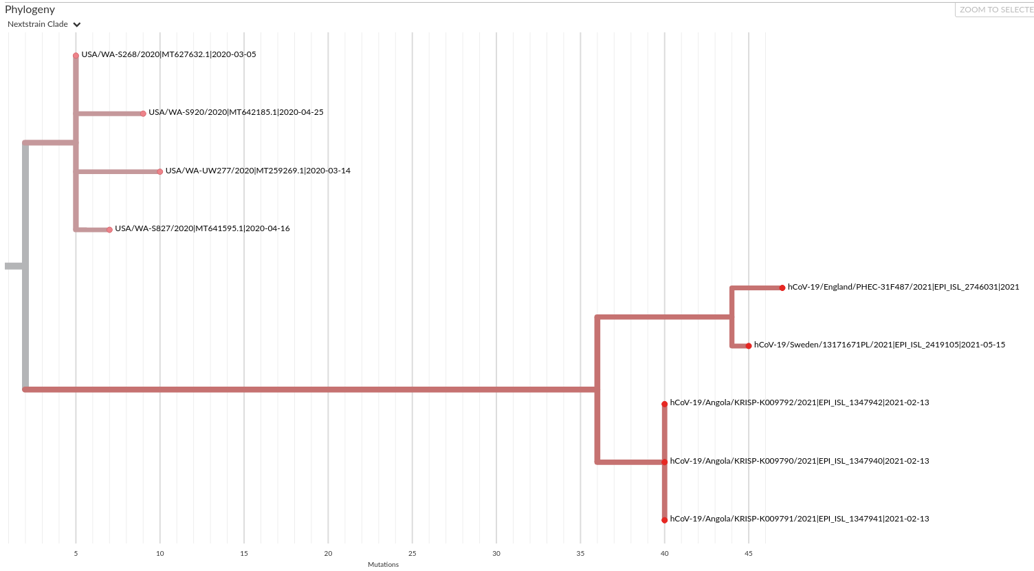 Pango Lineage Request for Lineage Associated with Tanzania Travellers ...