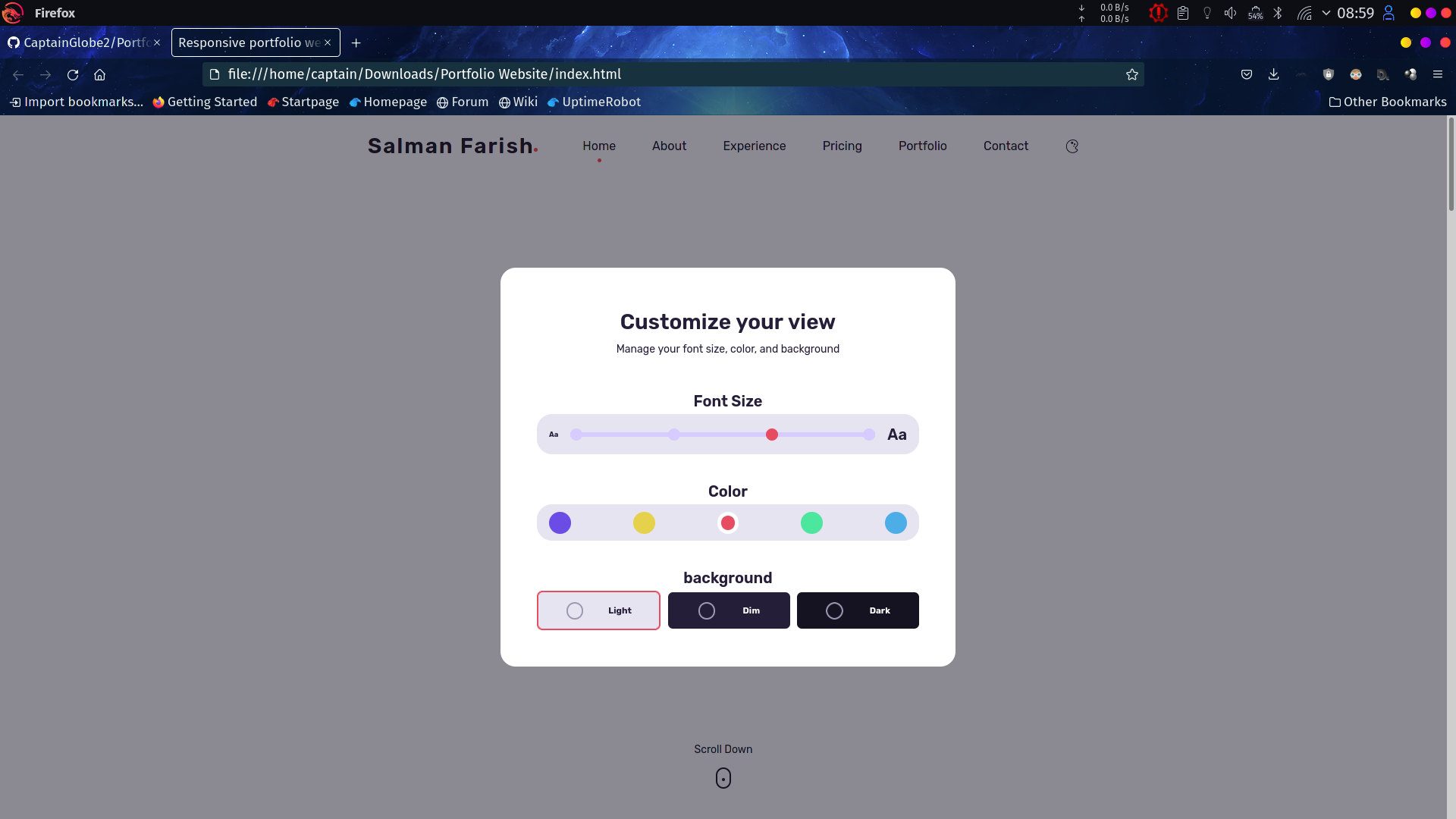 GitHub - CaptainGlobe2/Portfolio: this is a classic portfolio website with theme changer