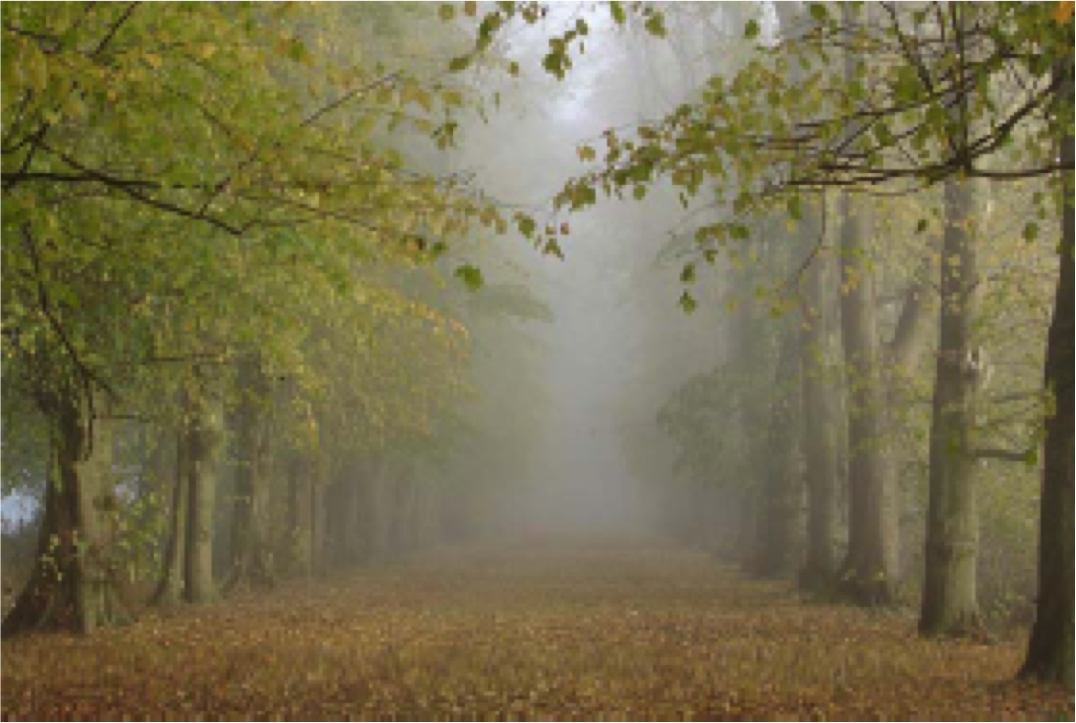 GitHub - H6hh/dehaze-KaimingHe: 何恺明去雾