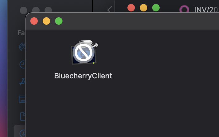 Bluecherry Client 2.2.9 macOS won't open on Big Sur · Issue #338 · bluecherrydvr/bluecherry ...