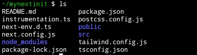 How Do I Hook Into The Startup Of A Nextjs Server So That I Can Do One Off Initialization 