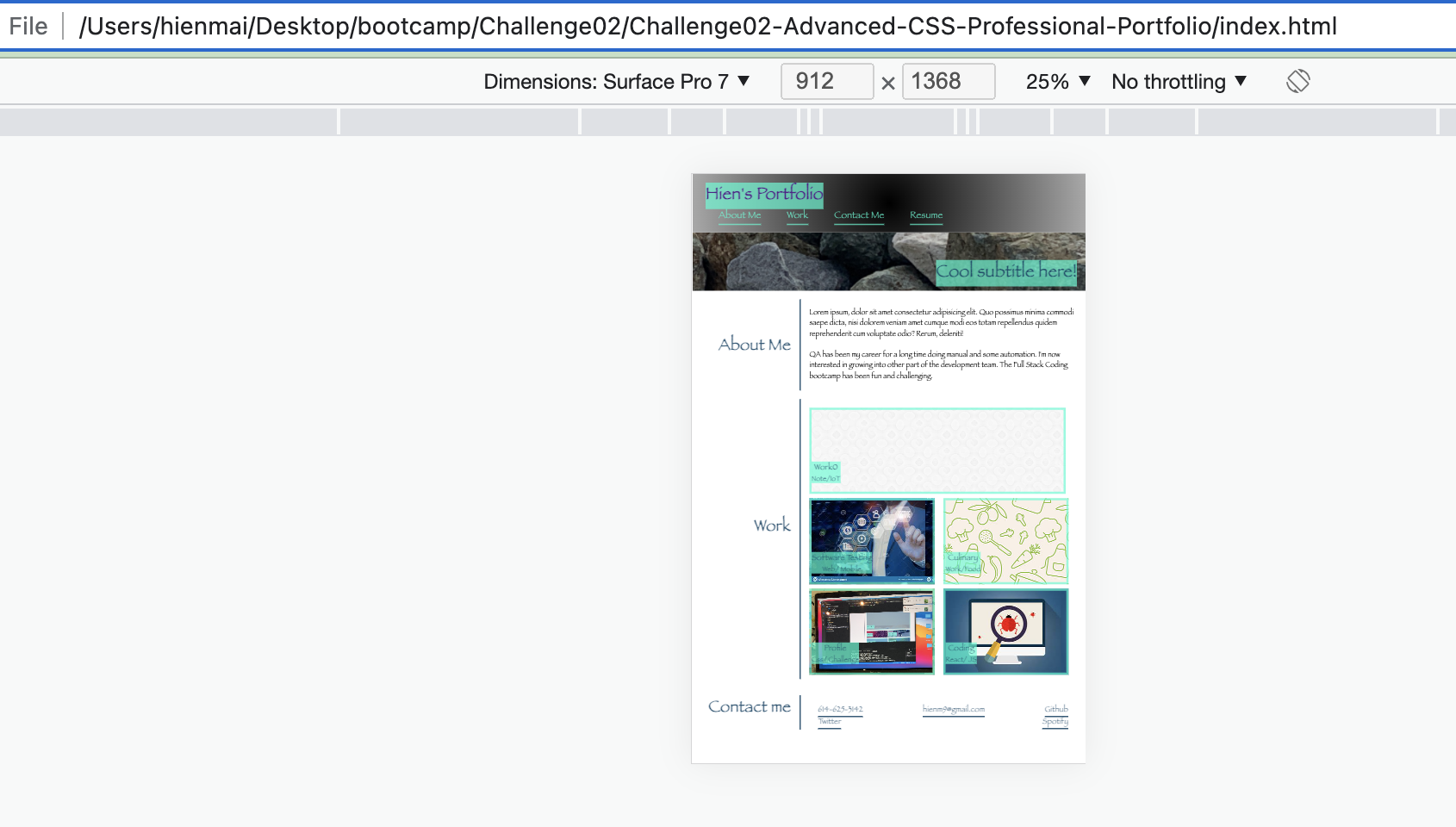 GitHub - hienm9/Challenge02-Advanced-CSS-Professional-Portfolio