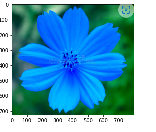 Github Yashkana Image Processing Lab