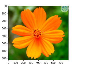 Github Yashkana Image Processing Lab