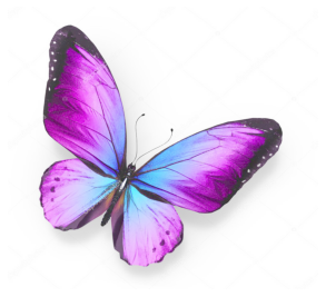 Github Yashkana Image Processing Lab