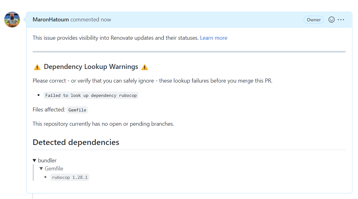 Raise Issue For Dependency Lookup Warnings · Issue 15651 · Renovatebotrenovate · Github