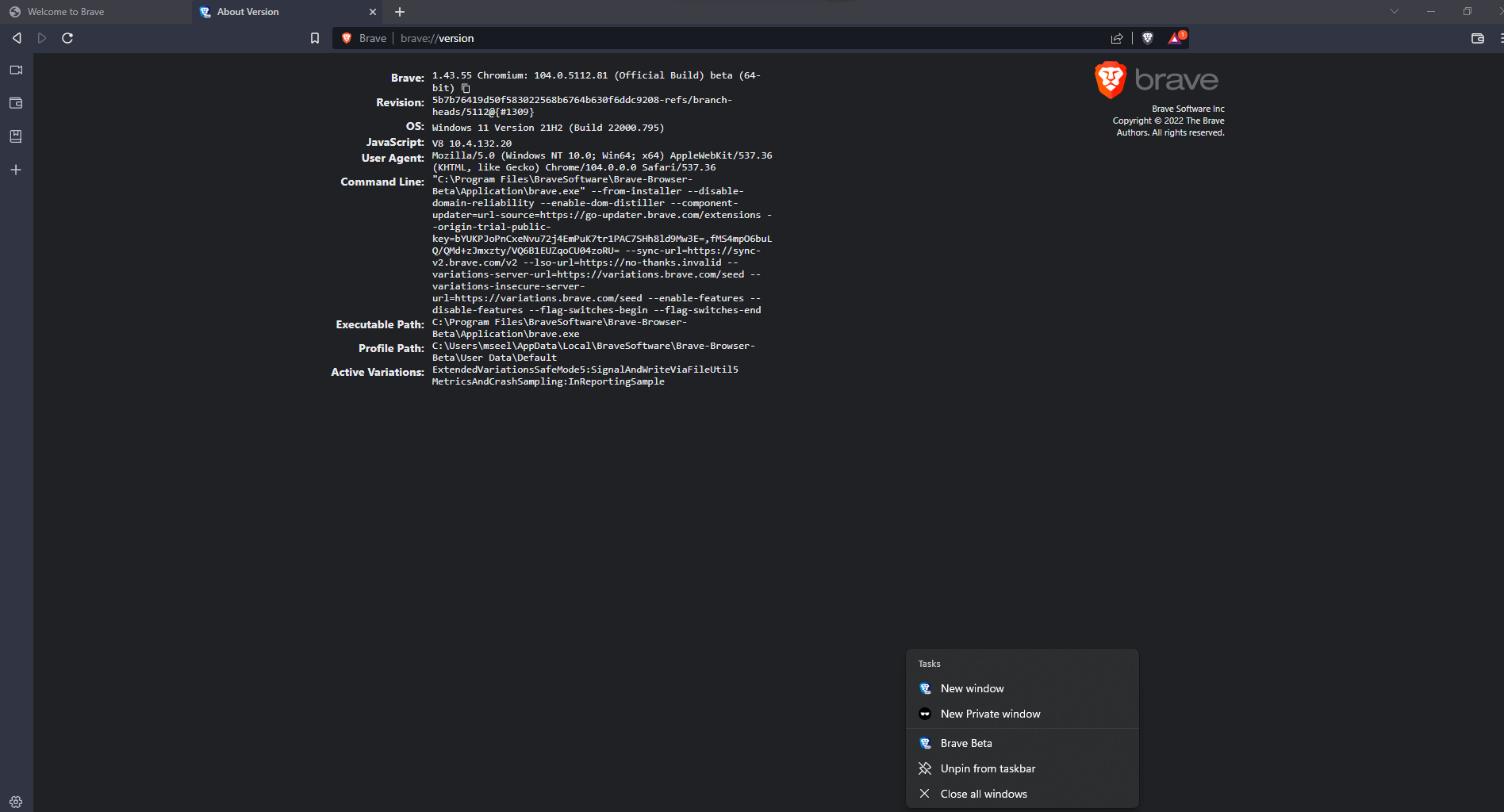 If Brave is already pinned to a new profile, history is not displayed in the Jump List · Issue ...