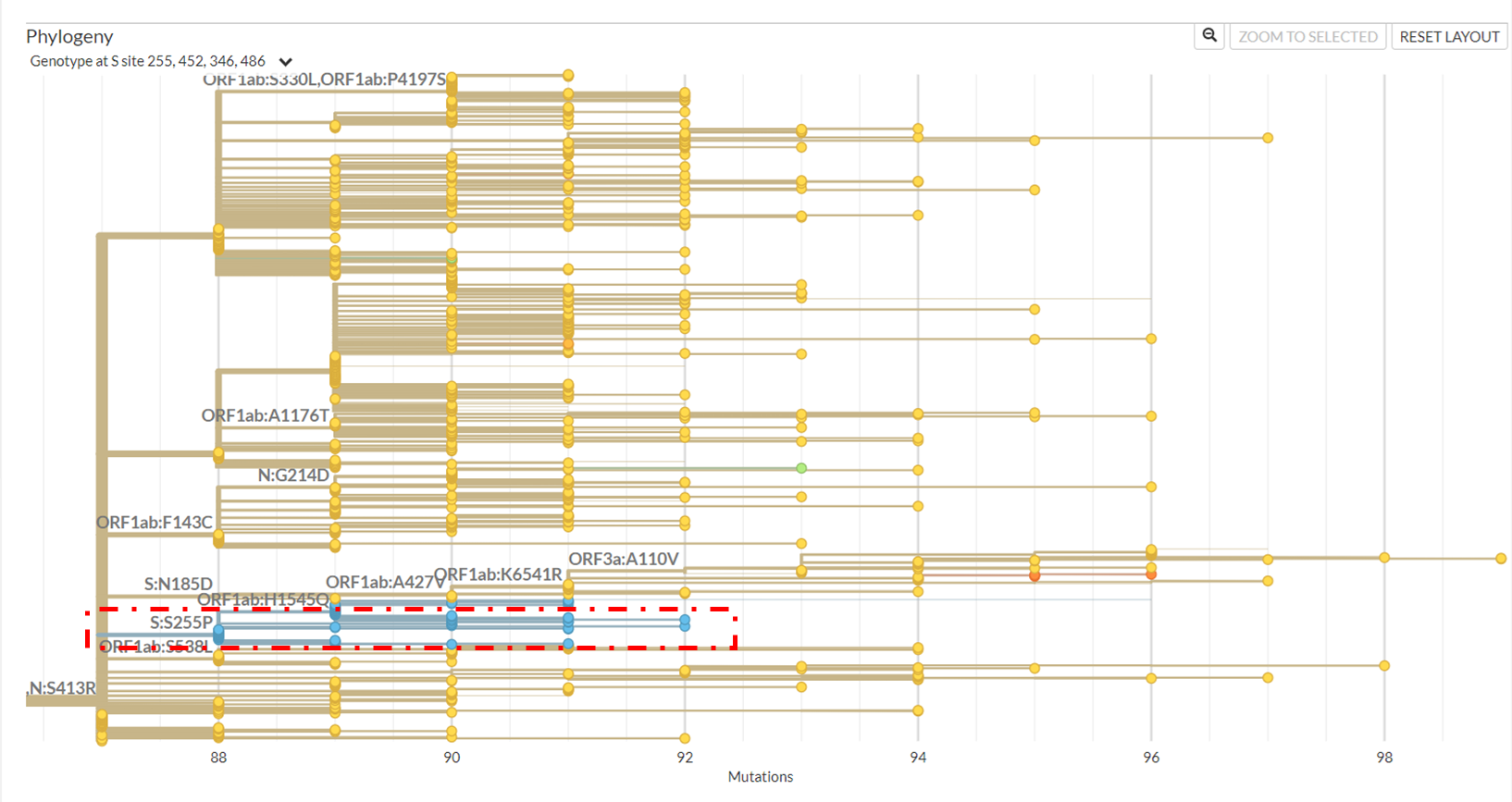 Potential CH.1.1 with Spike S255P mainly from Australia and New Zealand [98 Sequences] · Issue ...