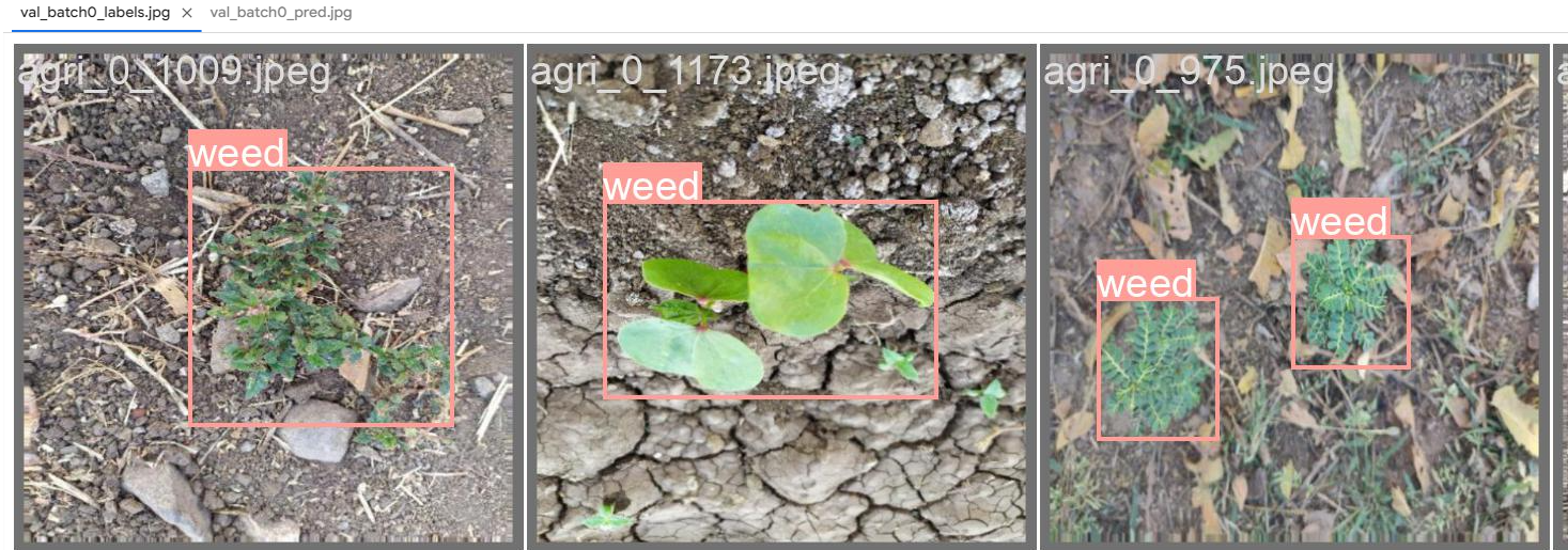 GitHub - lehen20/weed-detection