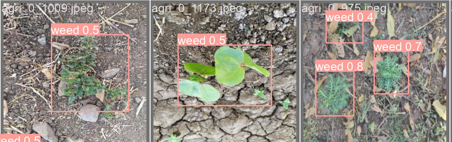 GitHub - lehen20/weed-detection