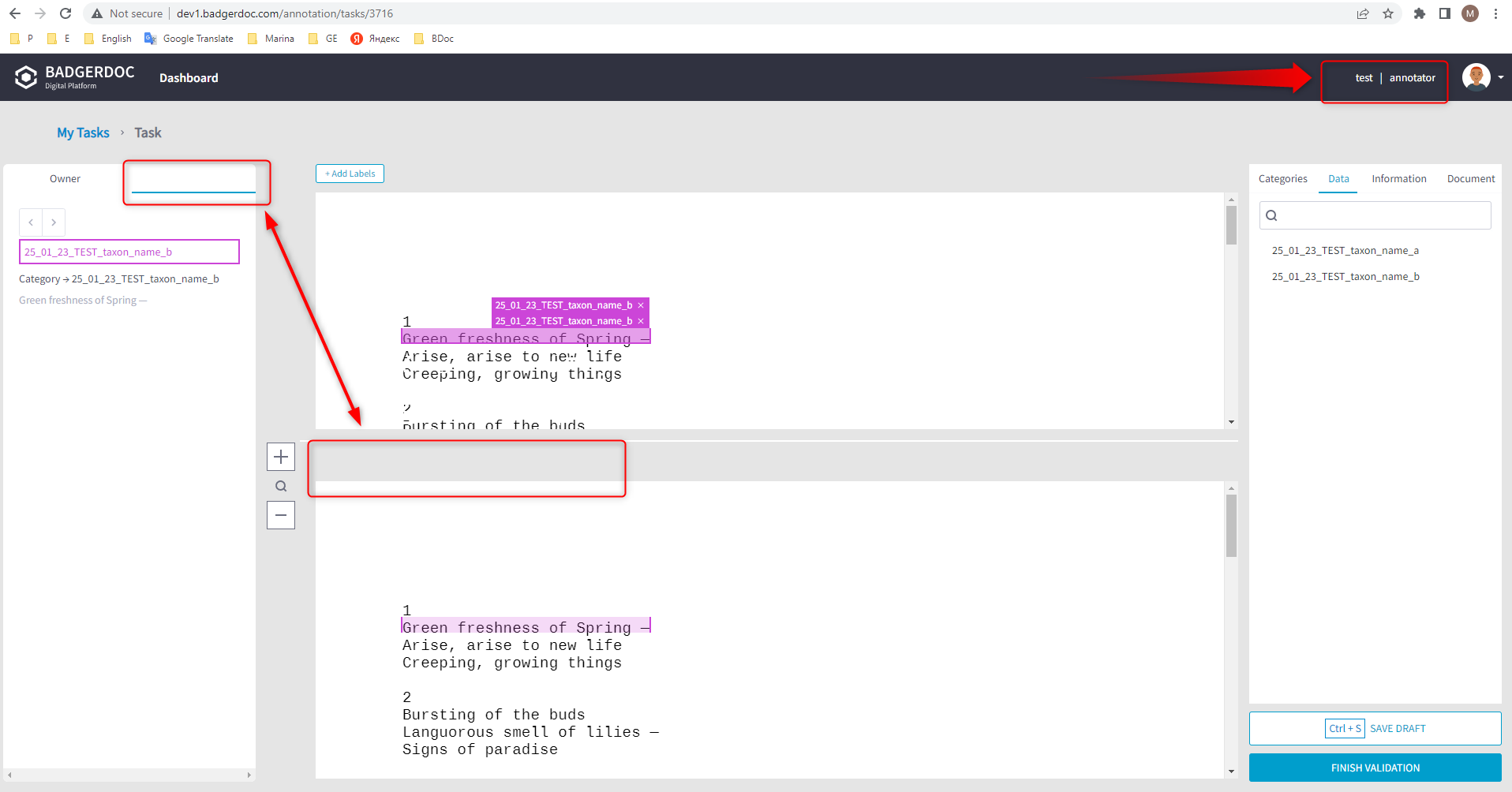 No title of the annotator on the tab of side bar and on the annotator part of the Validation ...