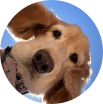 GitHub - move-geun/D-Station: SSAFY 7기 자율프로젝트