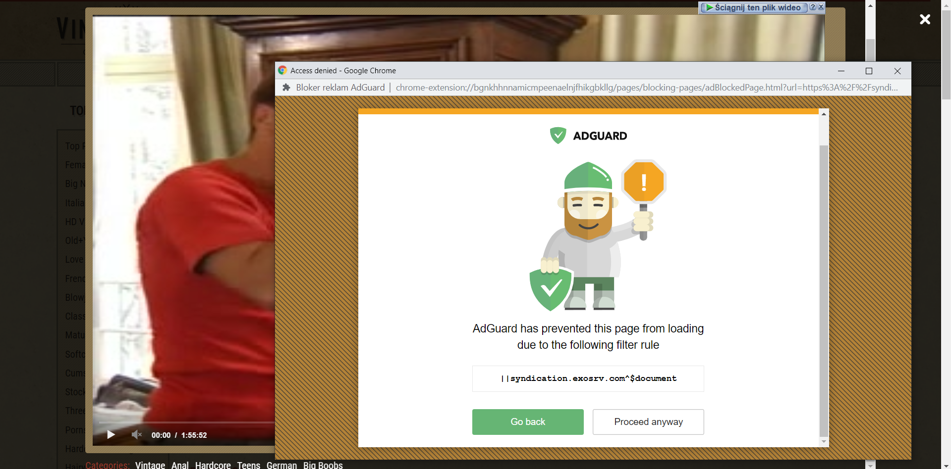 [NSFW] vintagetube.xxx · Issue #43948 · AdguardTeam/AdguardFilters · GitHub