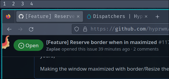 [feature] Reserve Border When In Maximized · Issue 1177 · Hyprwm Hyprland · Github