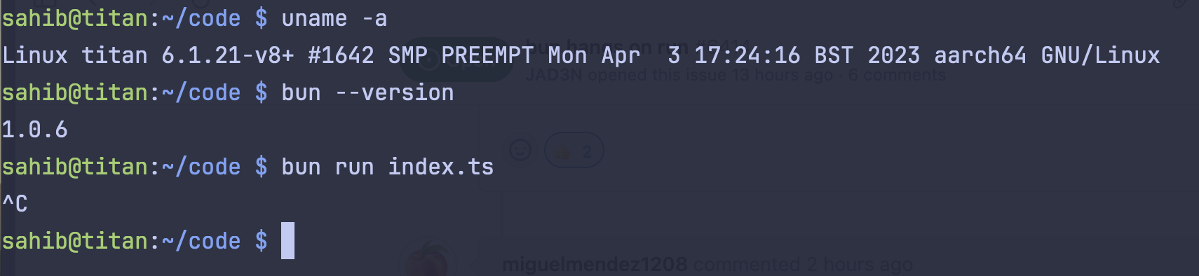 bun hangs on run · Issue #6414 · oven-sh/bun · GitHub
