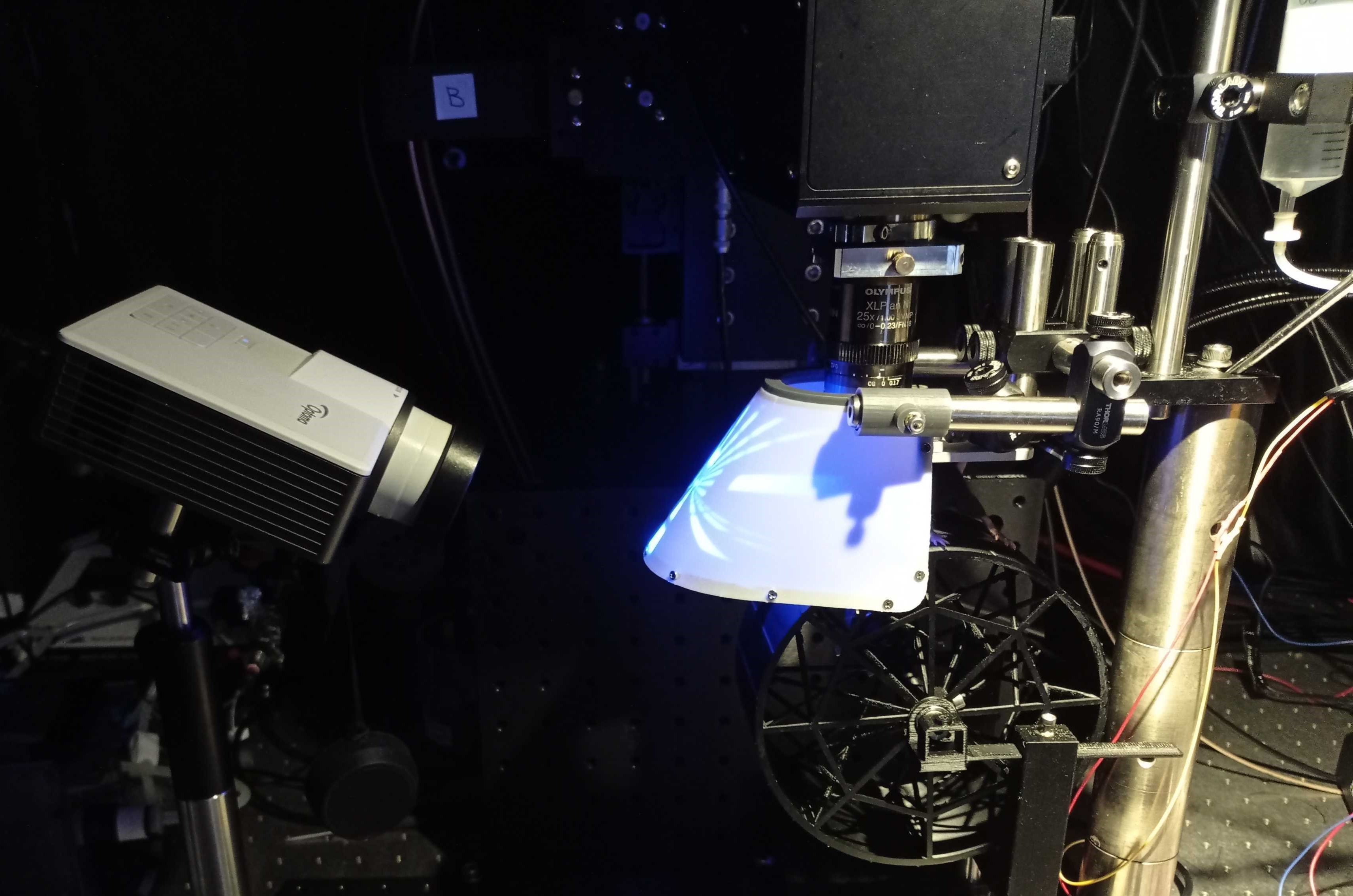 GitHub - yoavadamlab/VR-setup-for-NeuroImaging: Hardware & Software for Mice VR navigation ...