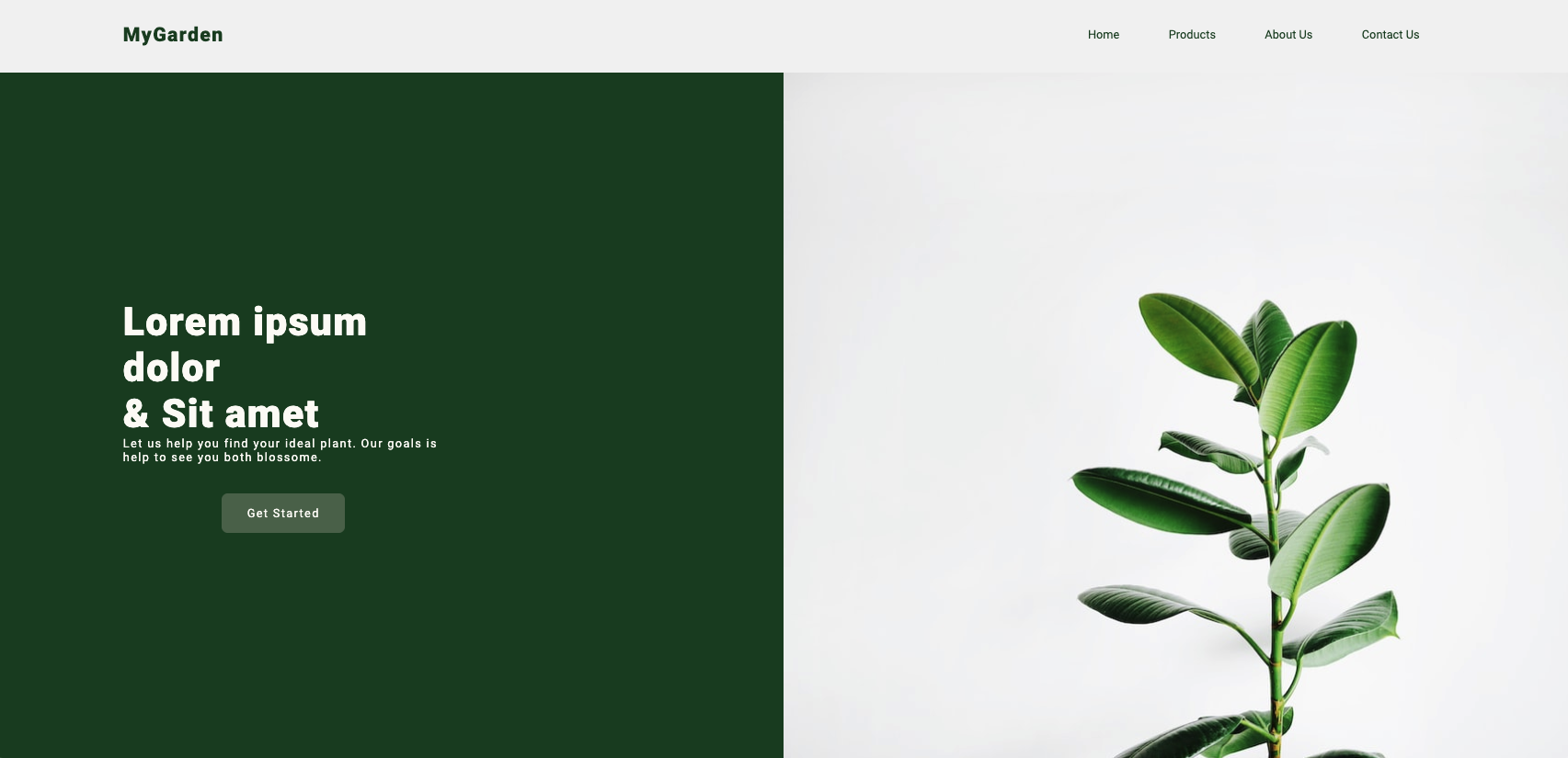 GitHub - ymarqu/plants: HTML & CSS - Plant website
