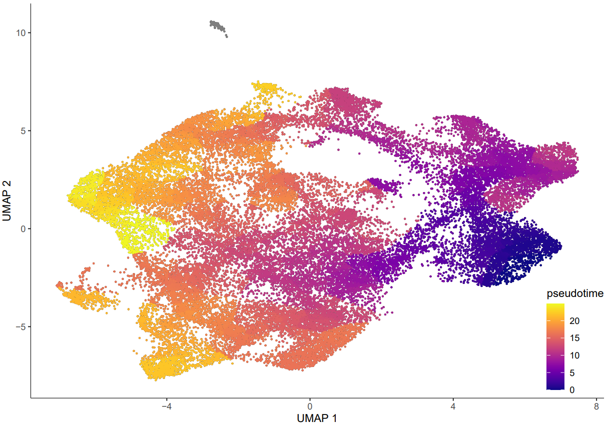thin black outline not showing up when performing plot_cells as shown in tutorial · Issue #605 ...