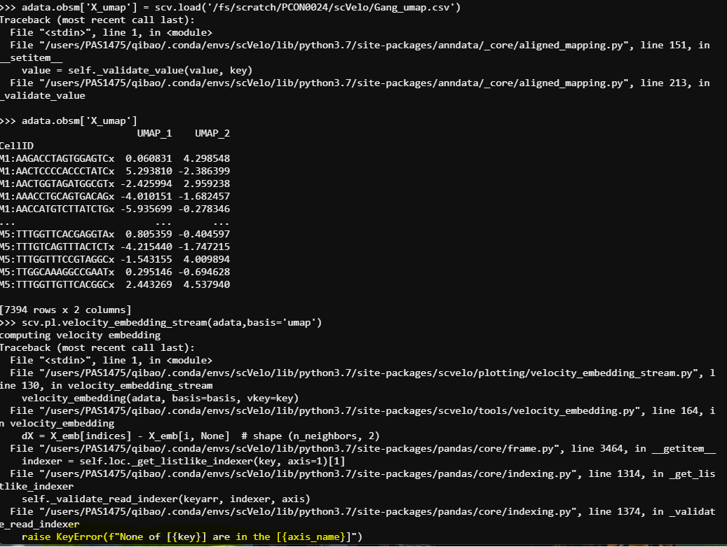 errors when use precomputed UMAP embeddings · Issue #884 · theislab/scvelo · GitHub