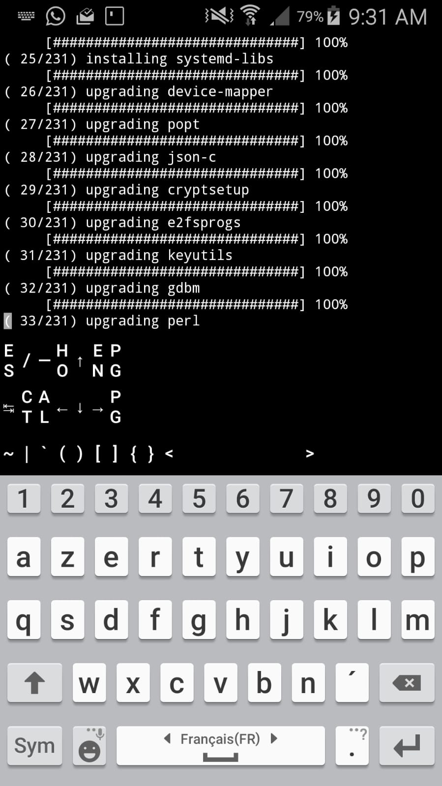 Custom extra-keys layout can be funny (in a bad way) · Issue #1064 ...