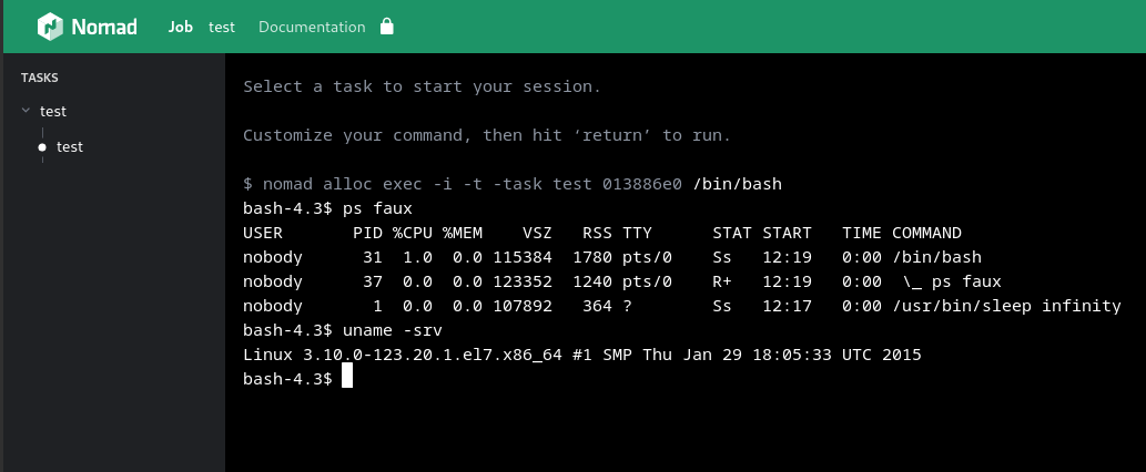 Nomad client fails to start a job · Issue #17448 · hashicorp/nomad · GitHub Nomad client fails to start a job · Issue #17448 · hashicorp/nomad · GitHub