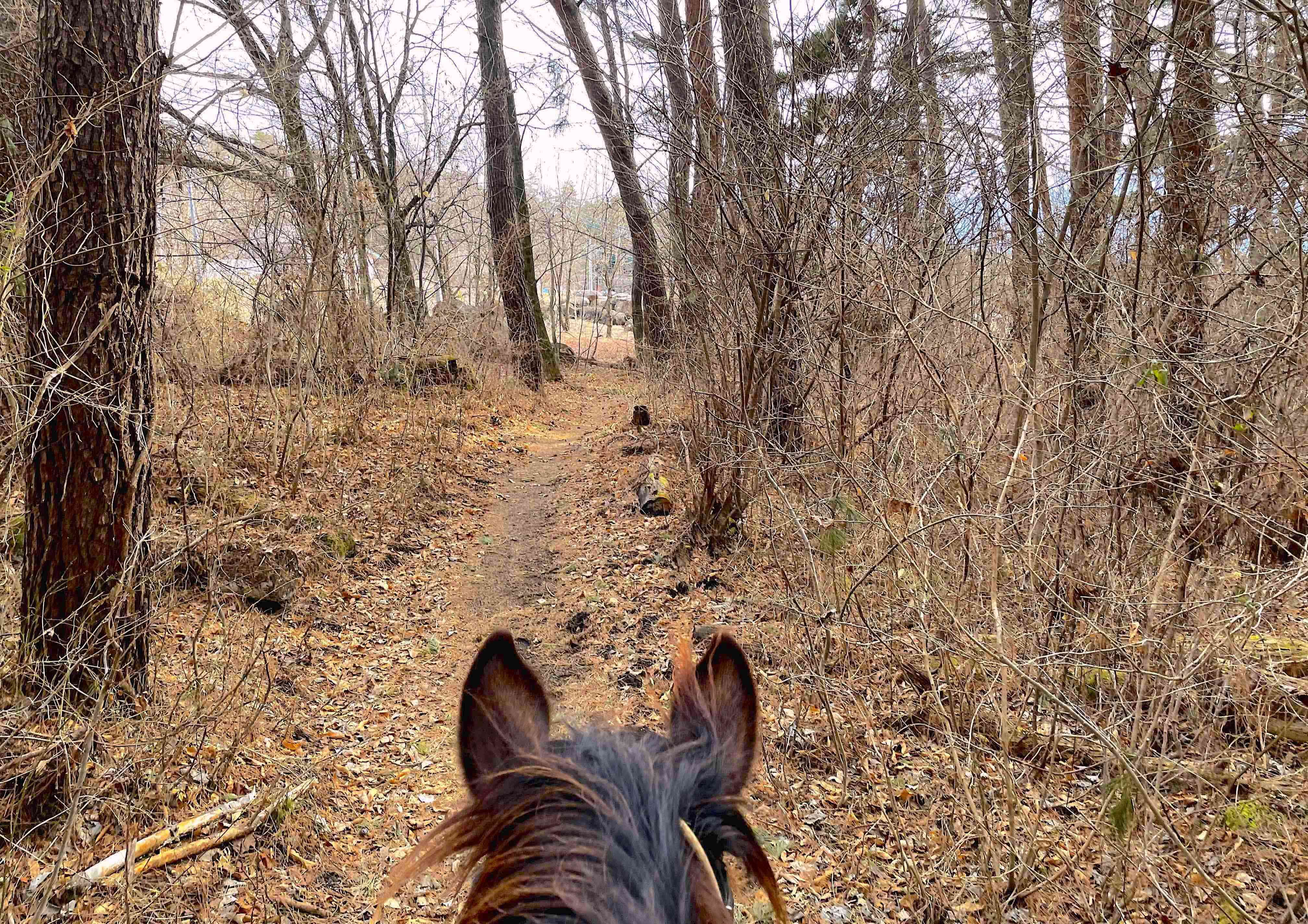 GitHub - sakamoto-waka/PosTrail: ポートフォリオのURLです。ゲストログイン機能を実装済みですのでぜひご利用ください。