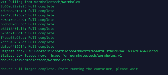 GitHub - kleymelvin/Validator-Apply-WormholesChain: Tutorial Create Validator WorholesChain