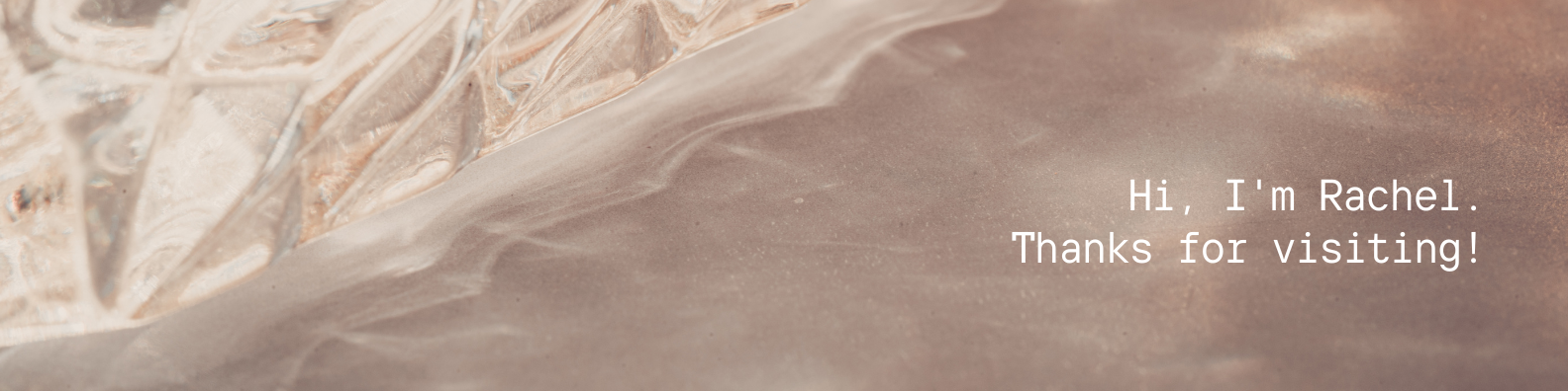 rharen11 (Rachel Kinzel) · GitHub