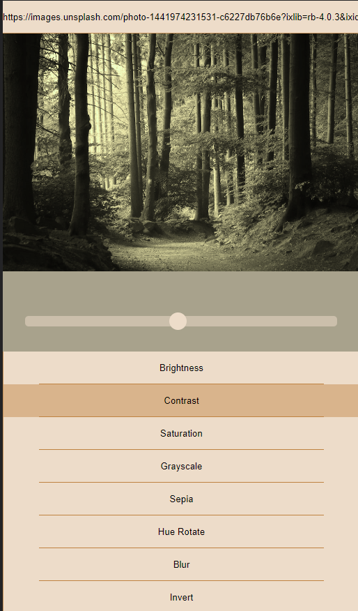 GitHub - RavMRafiki/photo-editor: Photo Editor based on CSS filters