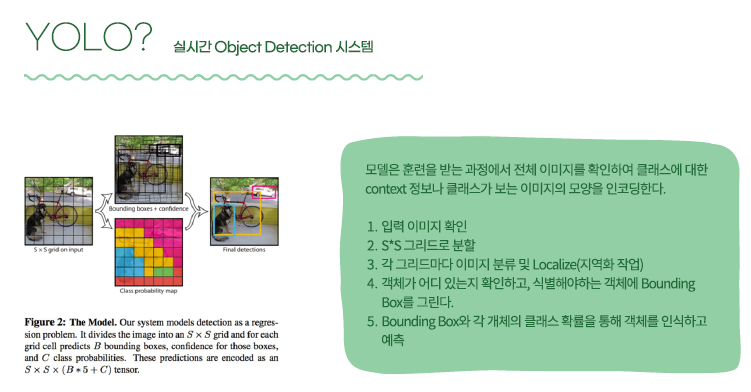 GitHub - DataScience-Lab-Yonsei/23-2_DSL_Modeling_Waste_Plastic_Bottle_Object_Detection: Waste ...