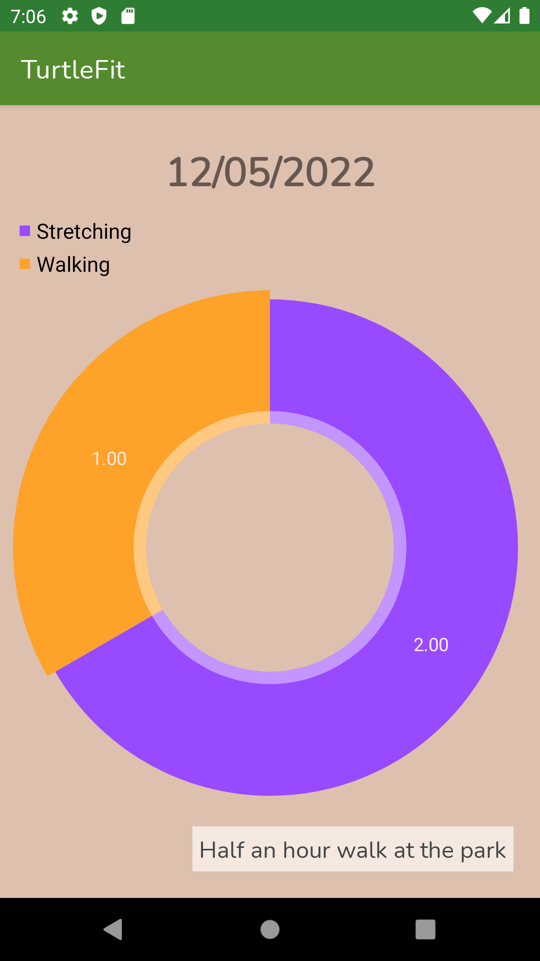 GitHub - elisacomposta/turtle-fit-app: Simple fitness activity tracker ...