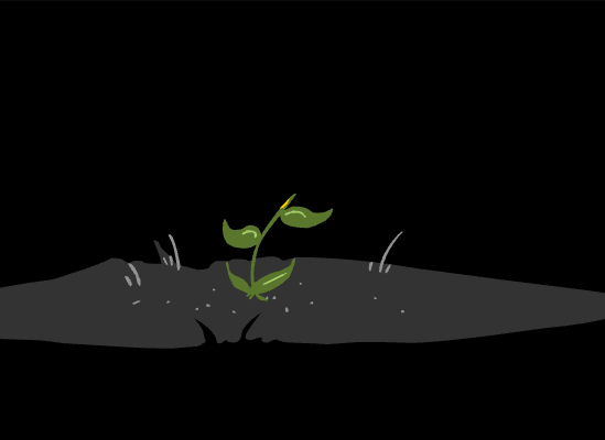 Lami Images Bug · Issue 8775 · Ruffle Rsruffle · Github