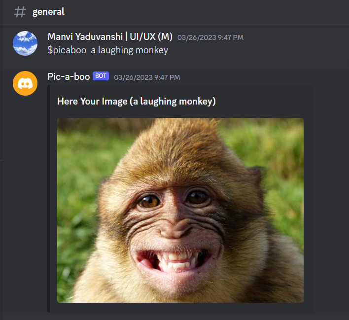 GitHub - DizManvi/Picaboo-Discord-Bot