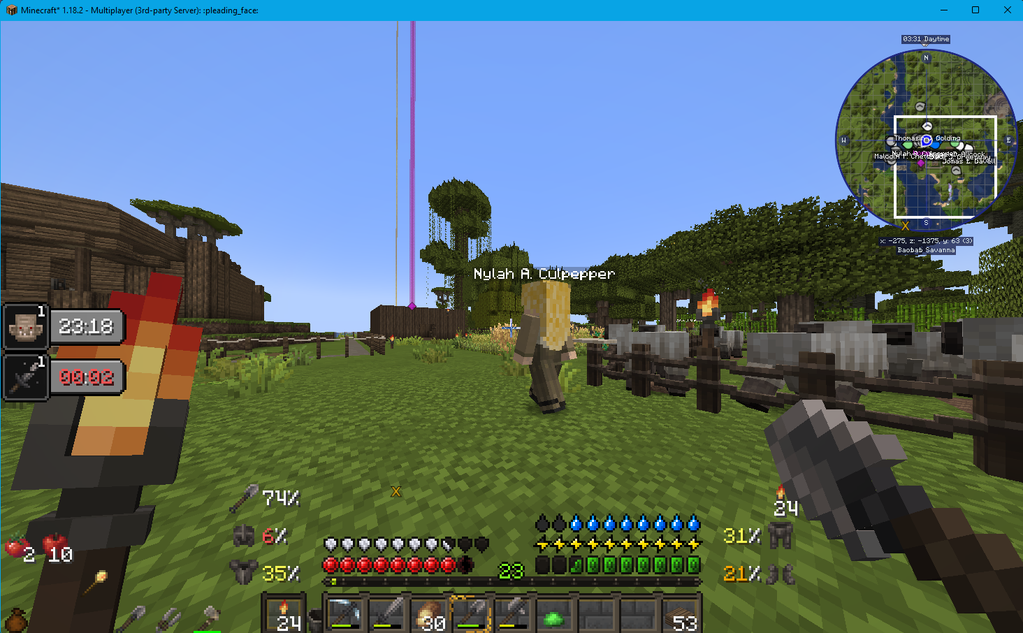 Minecolonies NPC · Issue #283 · LunaPixelStudios/Medieval-MC · GitHub